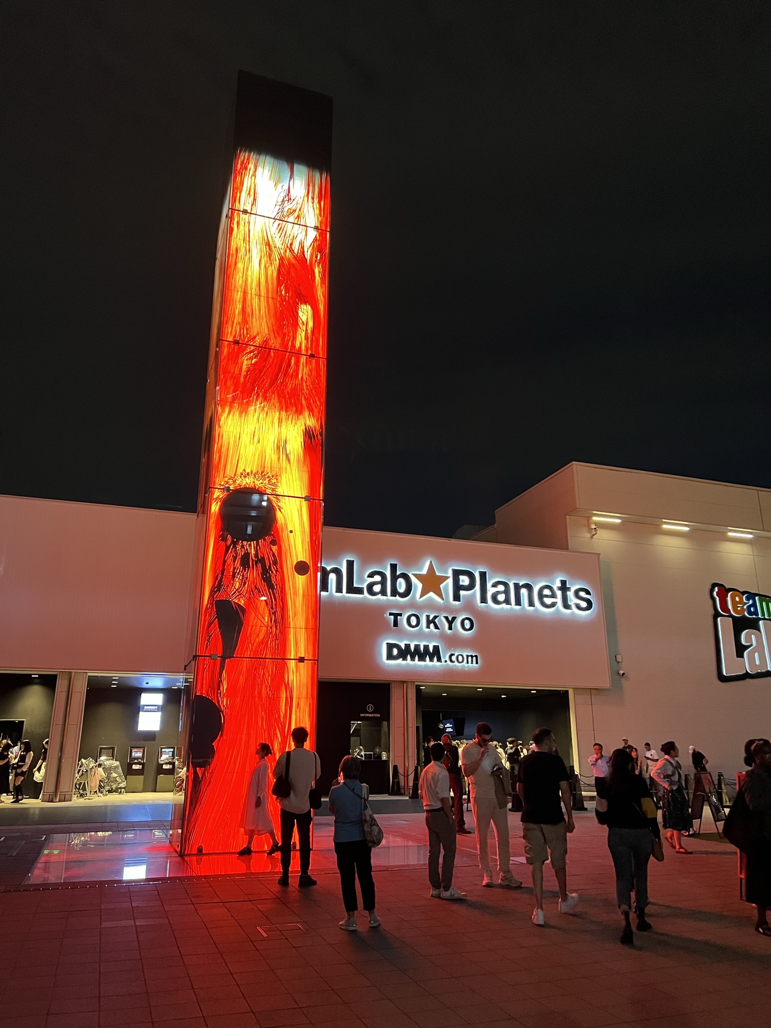 TeamLab Planets Tokyo Detail – Scaredy Cat Travels